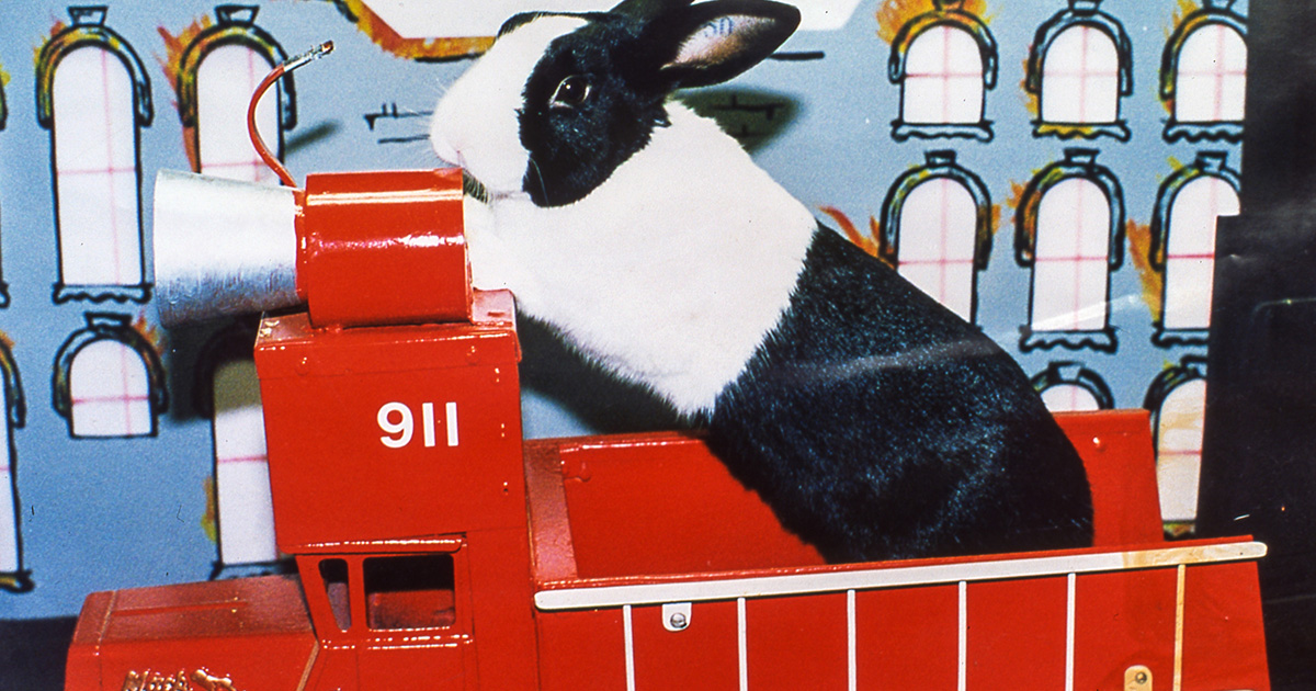 Back in the ROADSIDE USA 109 Closers' Zoo with IQ / Alligator Farm, Hot ...